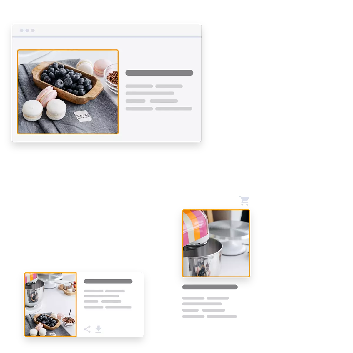 Our DAM software, one platform for assets and data | THRON